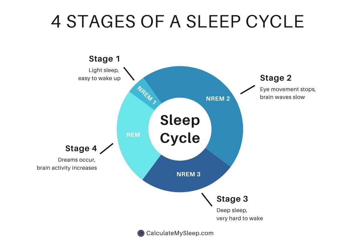 Bedtime Calculator By Age | CalculateMySleep.com